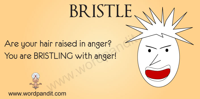 Bristle – Wordpandit