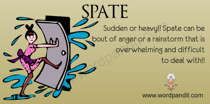 Spate – Wordpandit