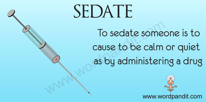 sedate – Wordpandit