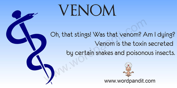 Venum Meaning In English Clearance | emergencydentistry.com