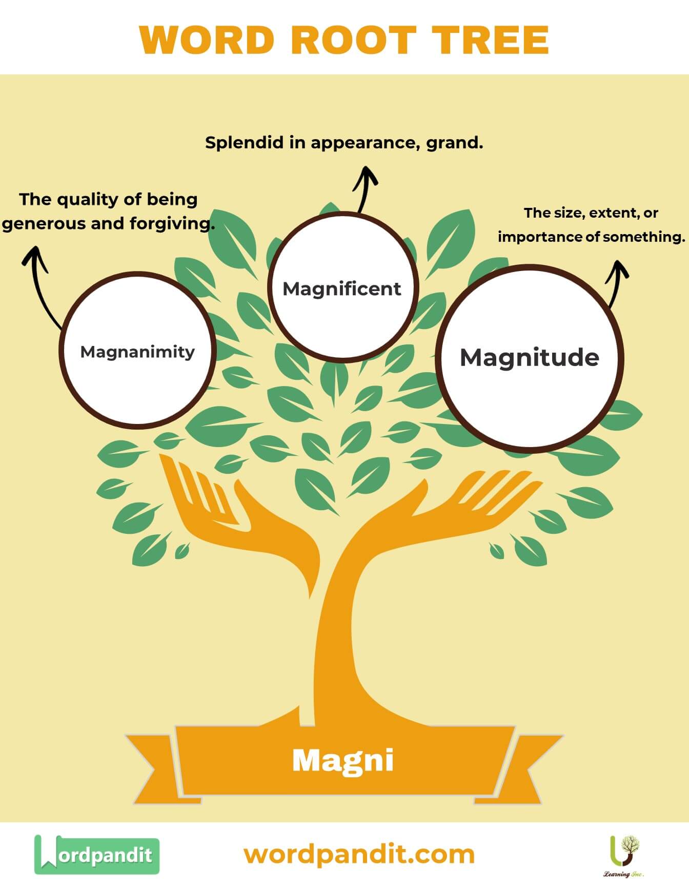 The Magni Root Word: Meaning, Definition, and Examples