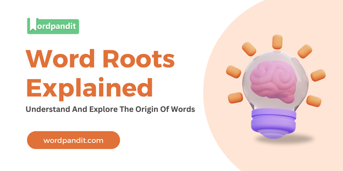 The Mort Root Word: Meaning, Definition, and Examples