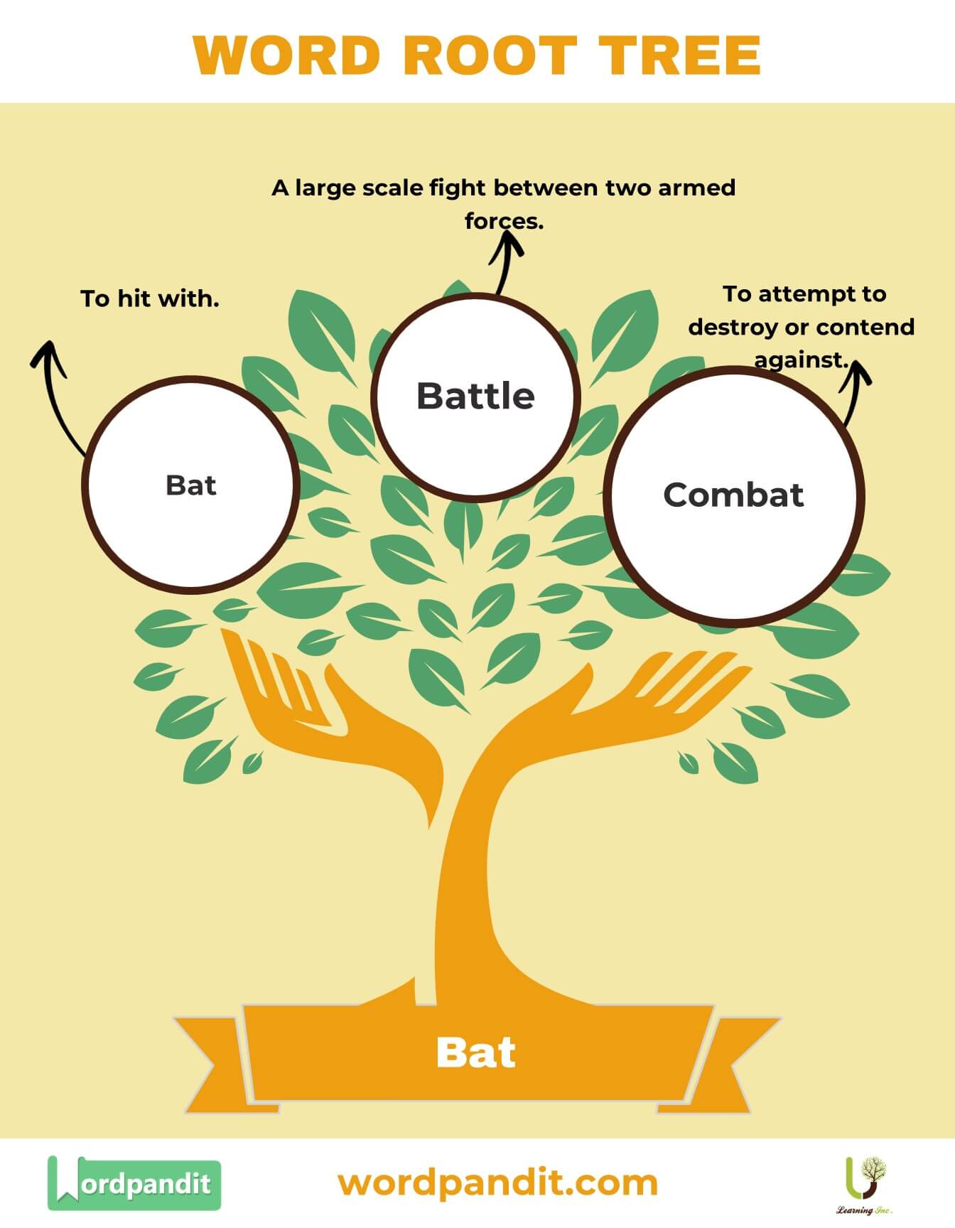 Exploring the "Bat" Root Word: Meanings and Usage