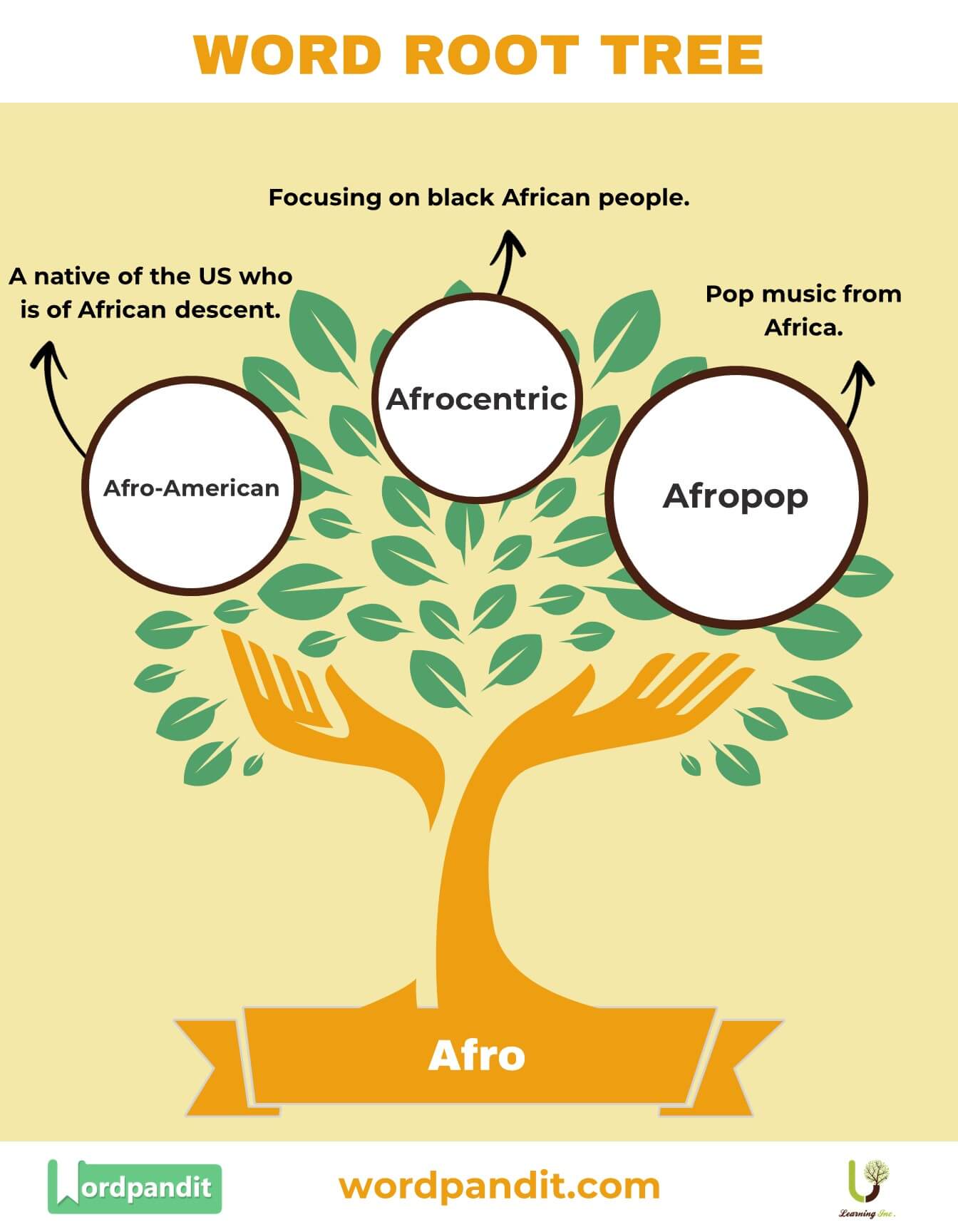 Understanding the Afro Word Root: Origin, Meaning, and Usage