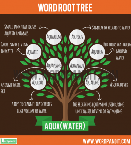 Word Root: Aqua - Wordpandit