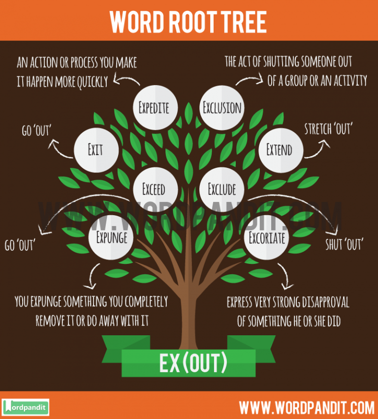 Ex Root Word Wordpandit Ex Root Word Wordpandit