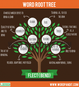 Flect Root Word - Wordpandit