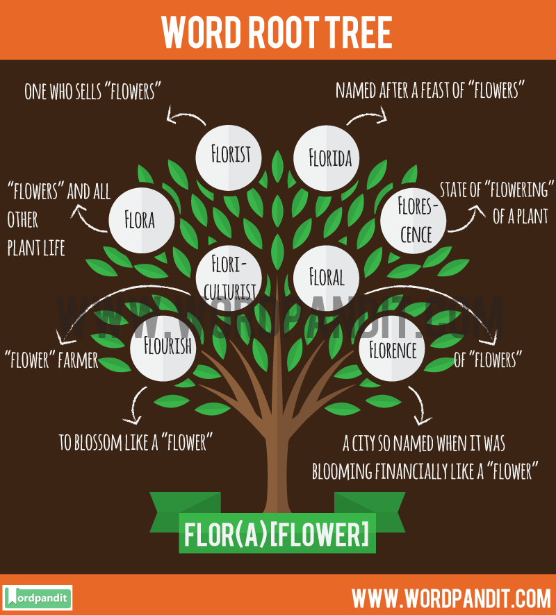 Flor a Root Word Wordpandit Flor a Root Word Wordpandit