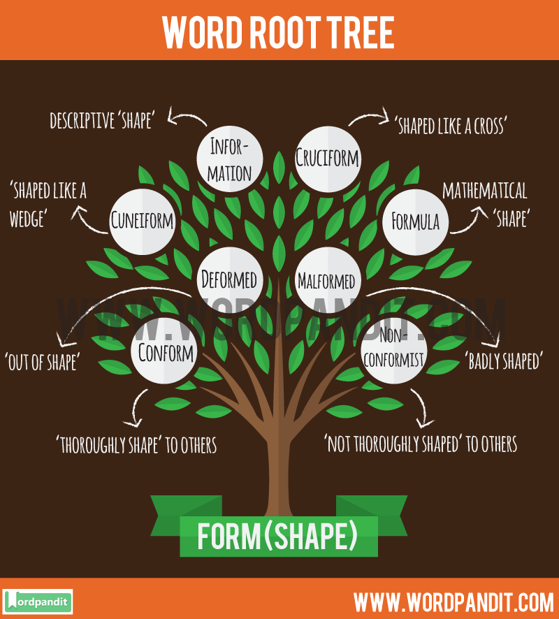 Form Root Word Wordpandit Form Root Word Wordpandit