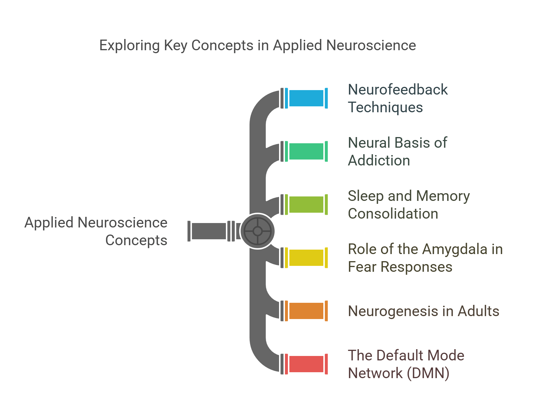 Applied Neuroscience: Essential Concepts for Reading Comprehension - Wordpandit