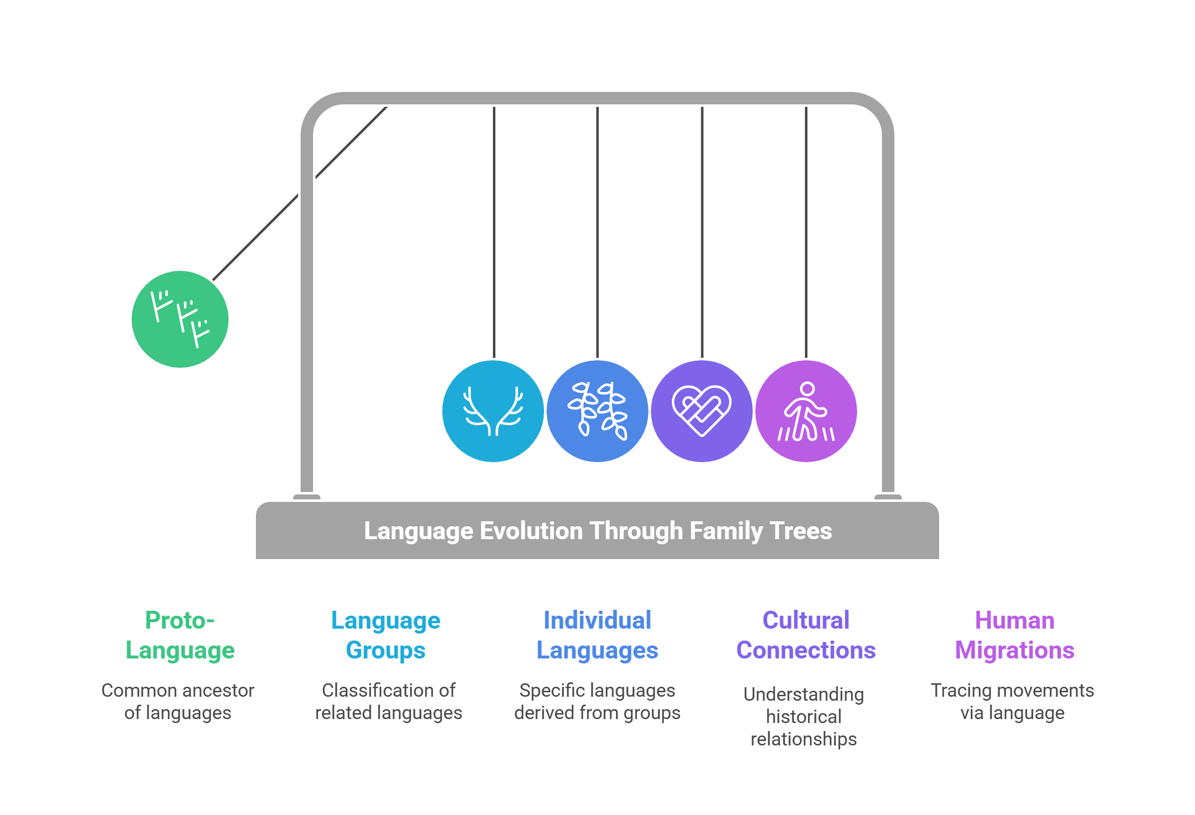 Language Evolution: Essential Concepts for Reading Comprehension ...