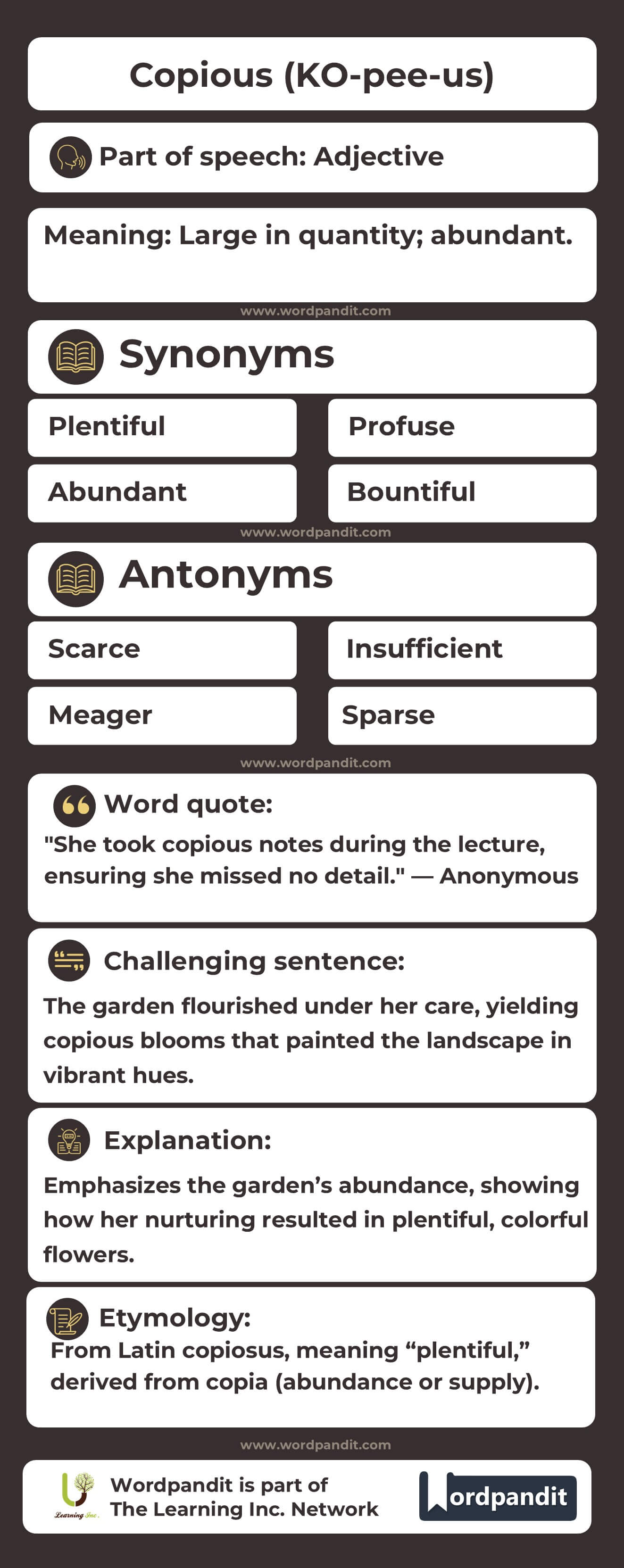 Copious: Vocabulary Flashcard – Wordpandit